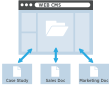 Why Should We Use the Liferay Portal? - Digital Firefly Marketing